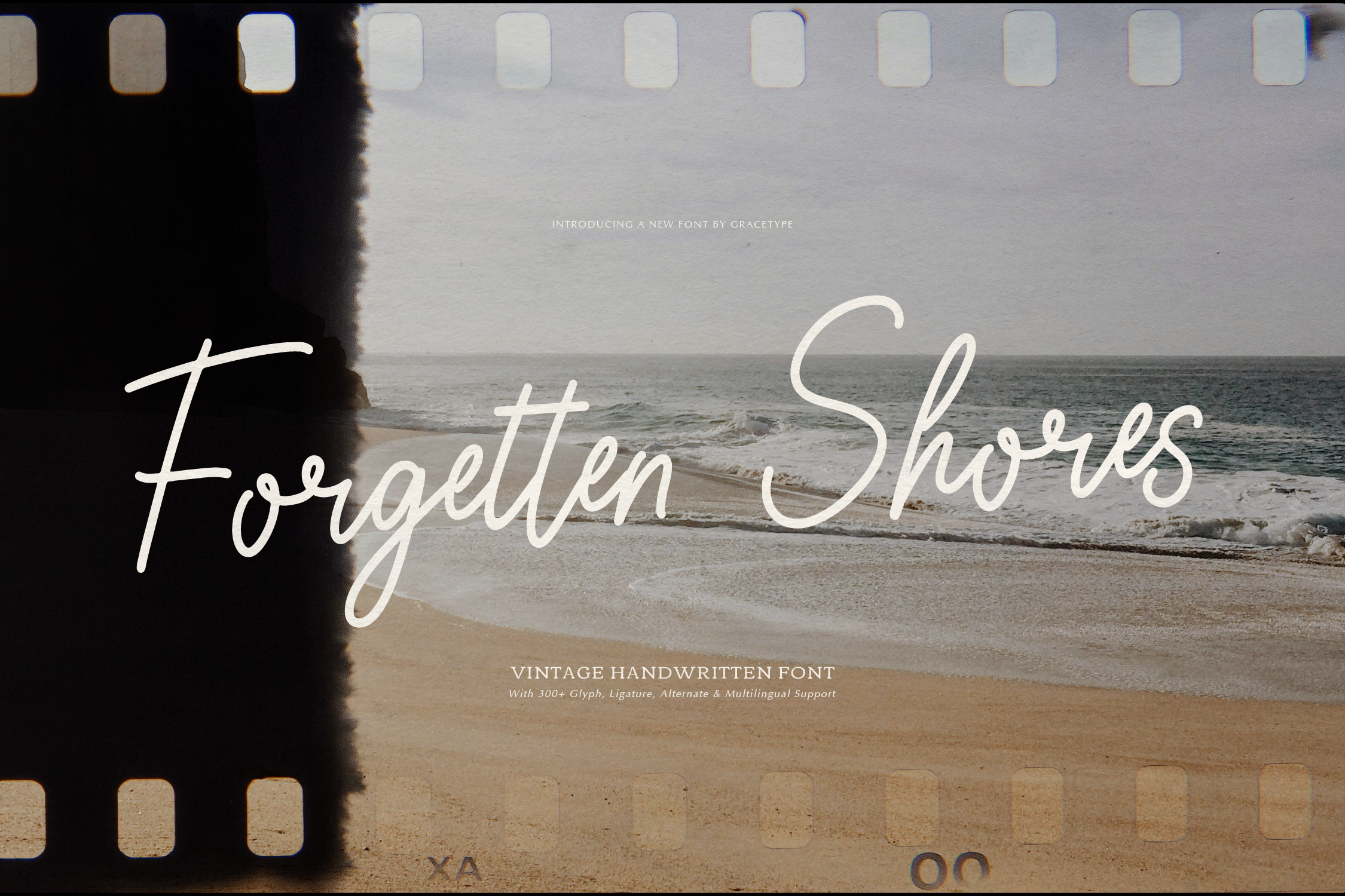 Forgotten Shores | Vintage Handwritten by Gracetype Studio