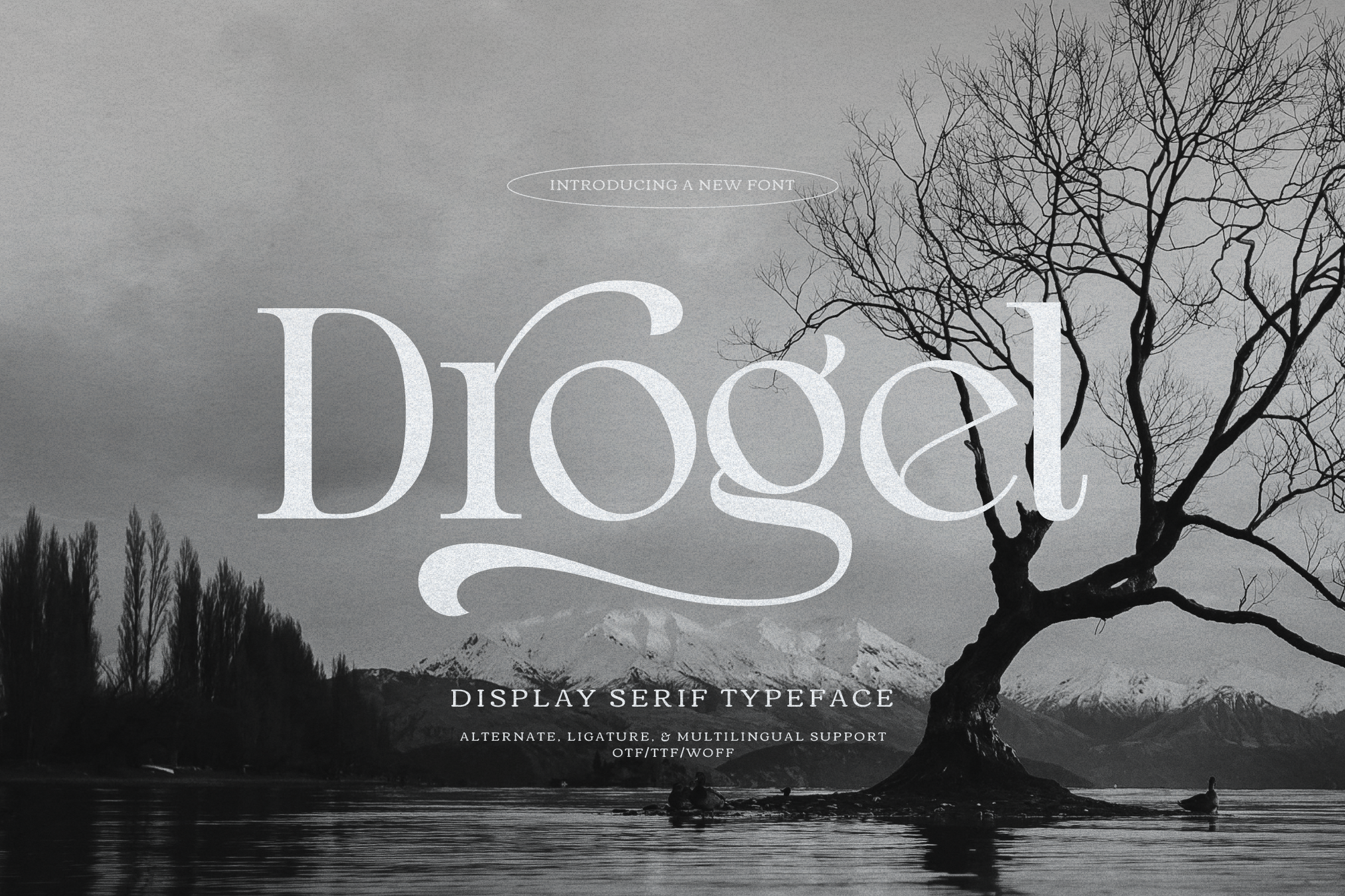 Drogel | Display Serif Font by Gracetype Studio
