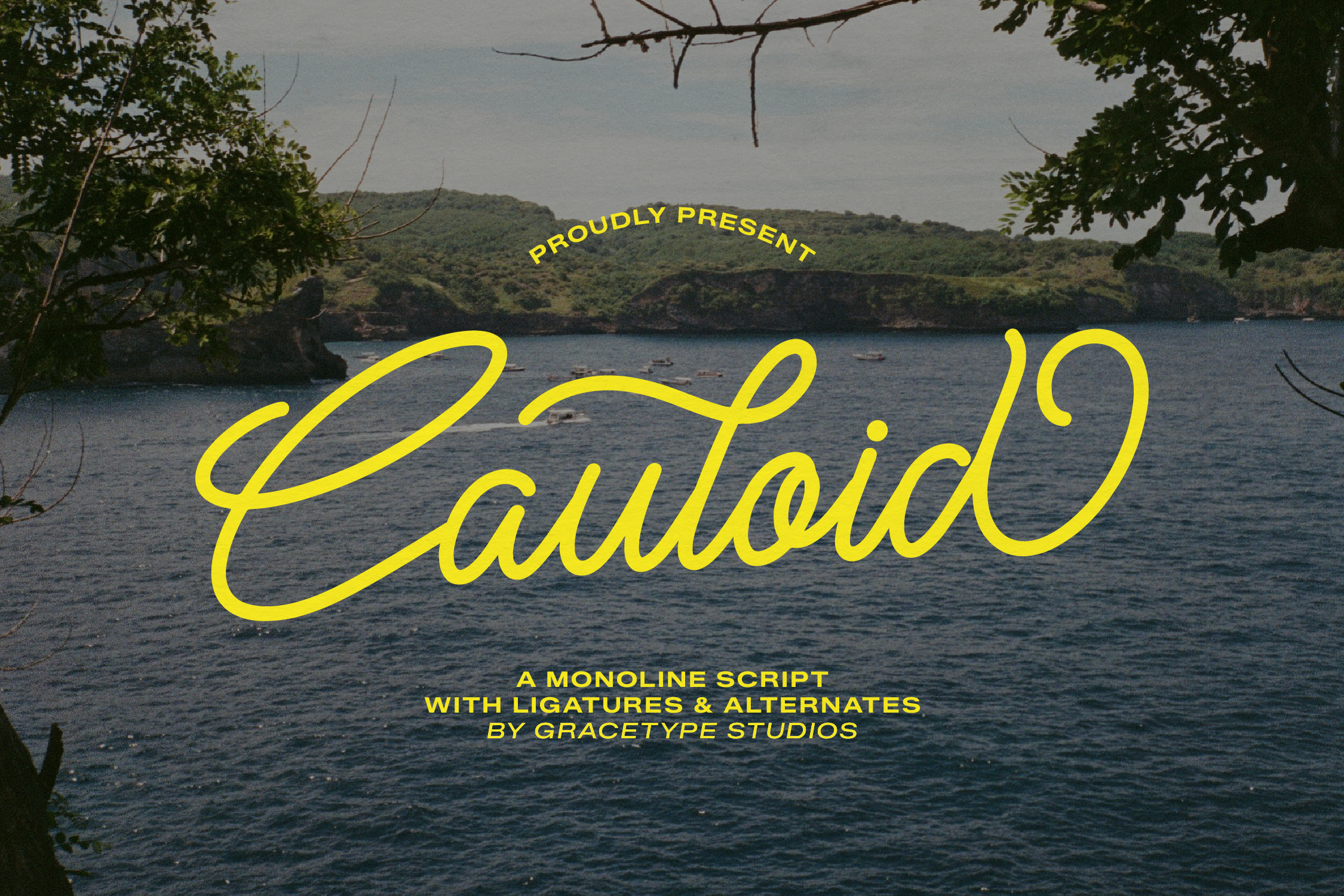 Cauloid | Monoline Script by Gracetype Studio